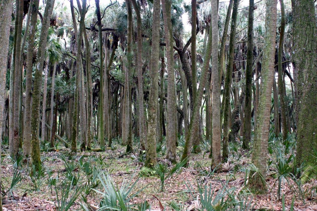 Locations Hub - Lee Ranch