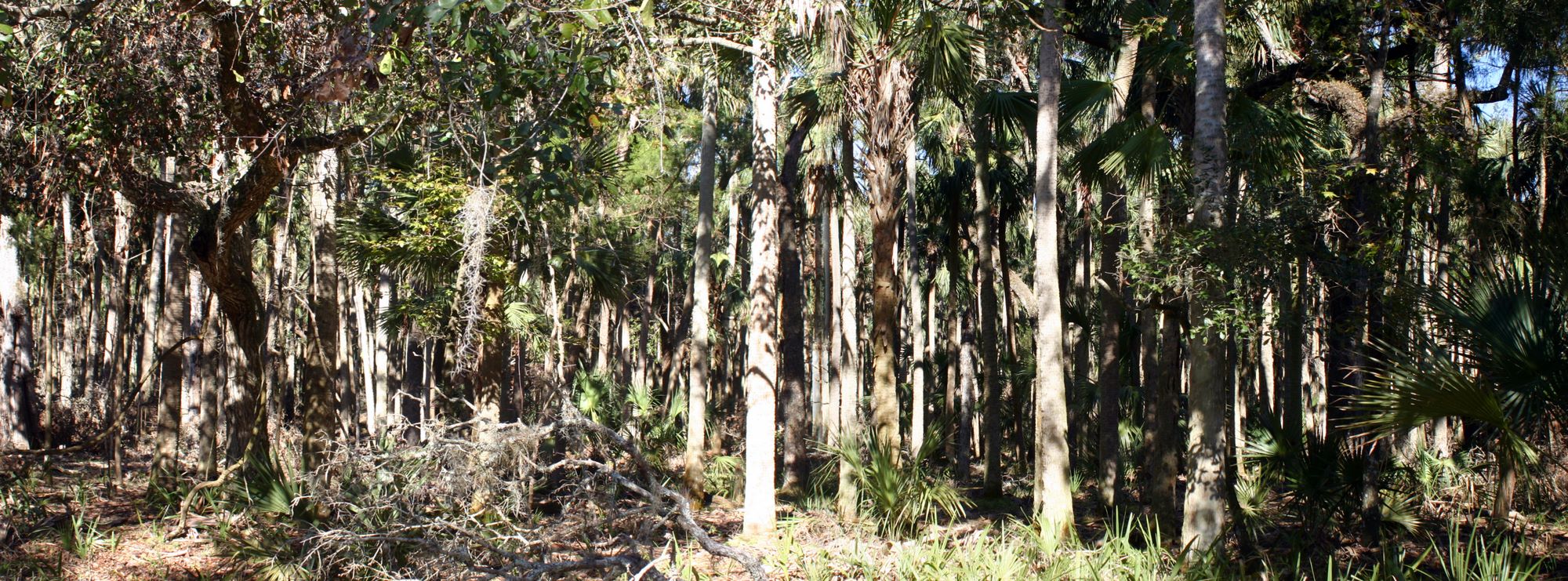 Locations Hub - Lee Ranch