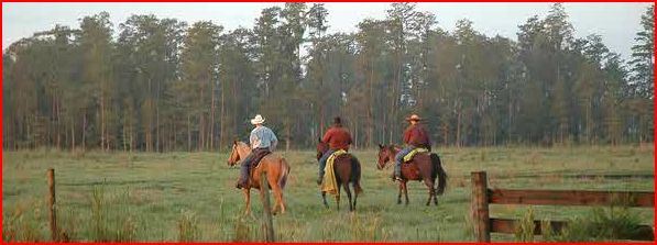 Locations Hub - Deseret Ranches