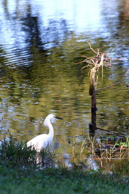 Locations Hub - Demetree Park
