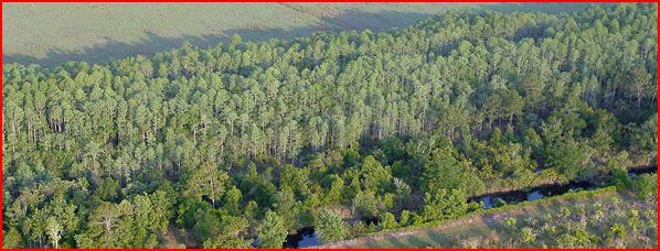 Locations Hub - Deseret Ranches