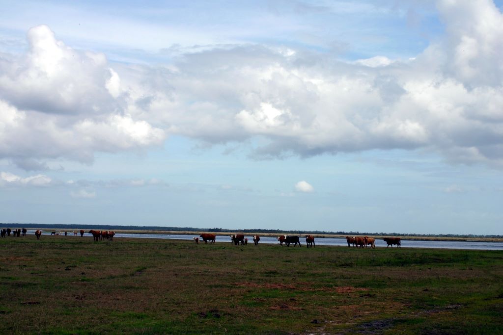 Locations Hub - Lee Ranch