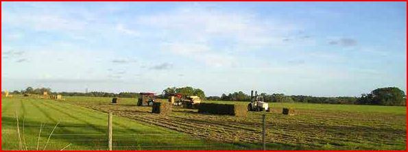 Locations Hub - Deseret Ranches